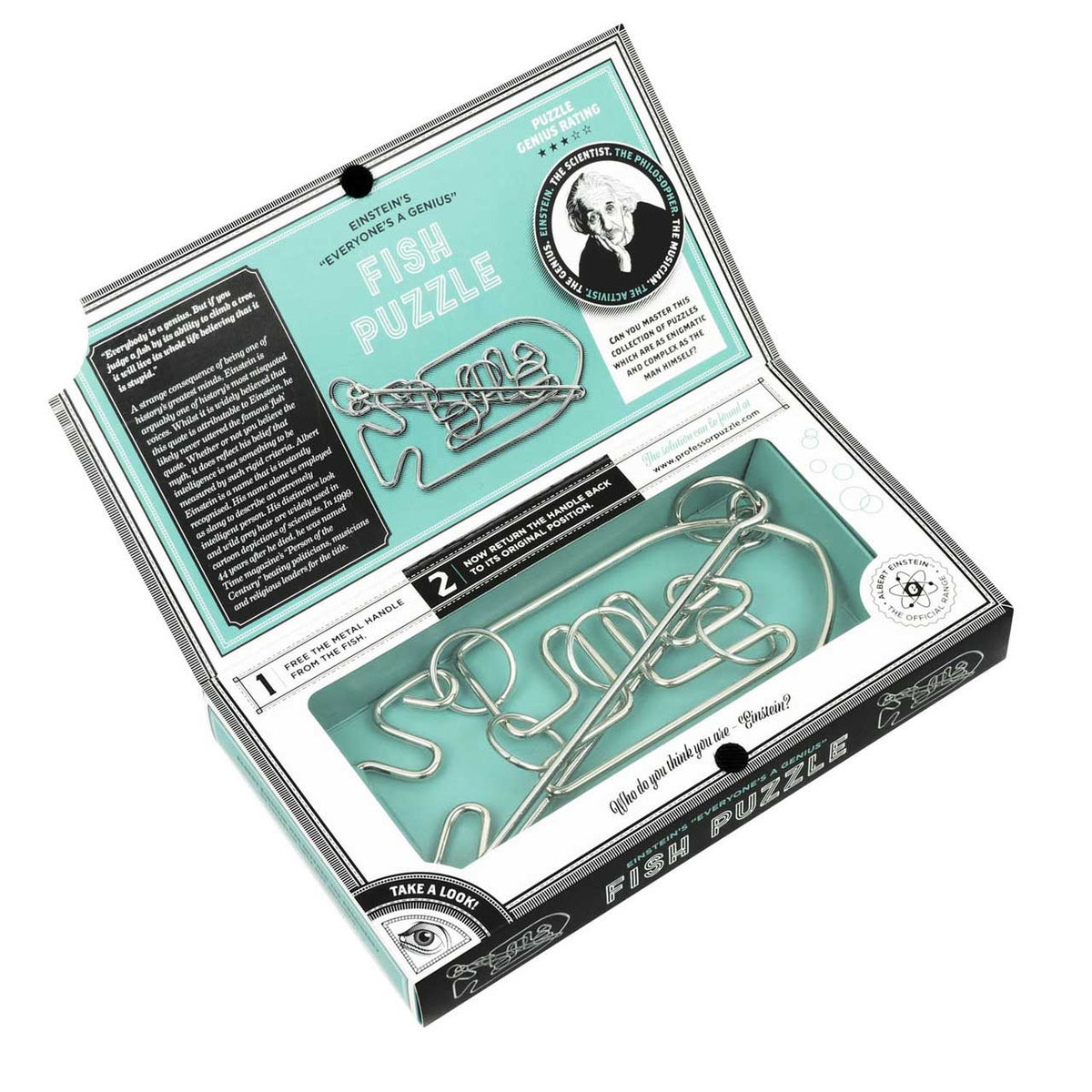 Einsteins Fish Puzzle – Mindconnect Australia