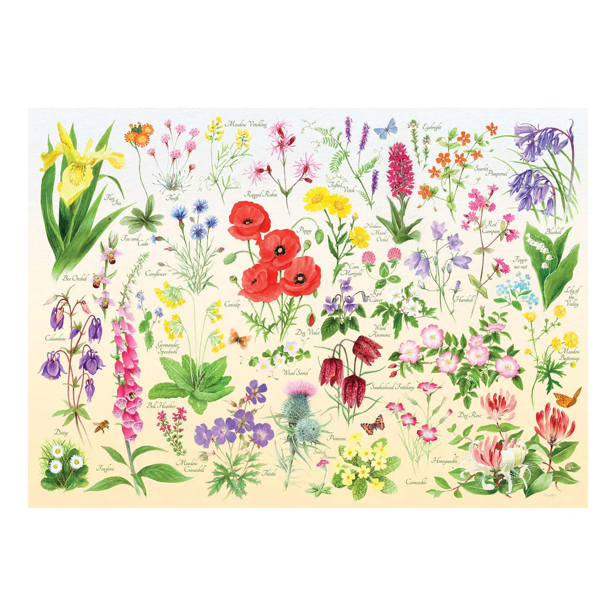 House of Puzzles – Wildflowers Puzzle 1000pc – Mindconnect Australia