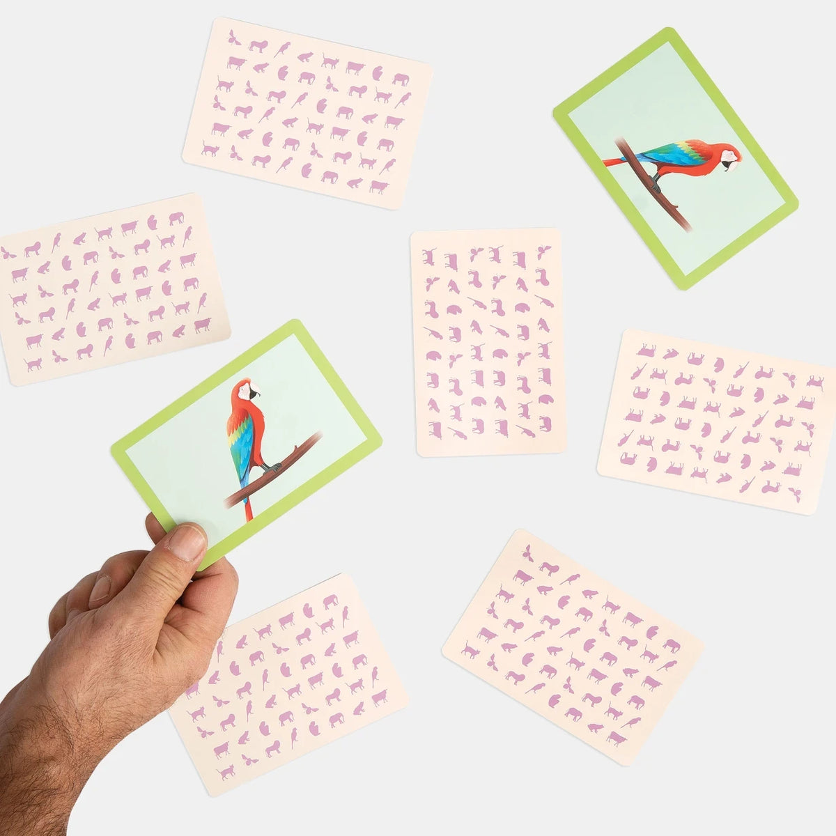 Animal Snap – Mindconnect Australia